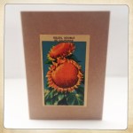 Absolutely Nothing To Wear | Absolutely Nothing To Wear | Page 2